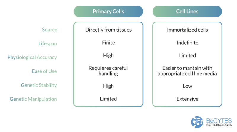 Primary human hepatocytes vs. cell lines in research
